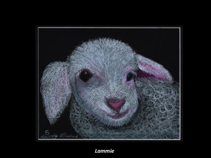 13. Lammie | Art That Makes a Difference