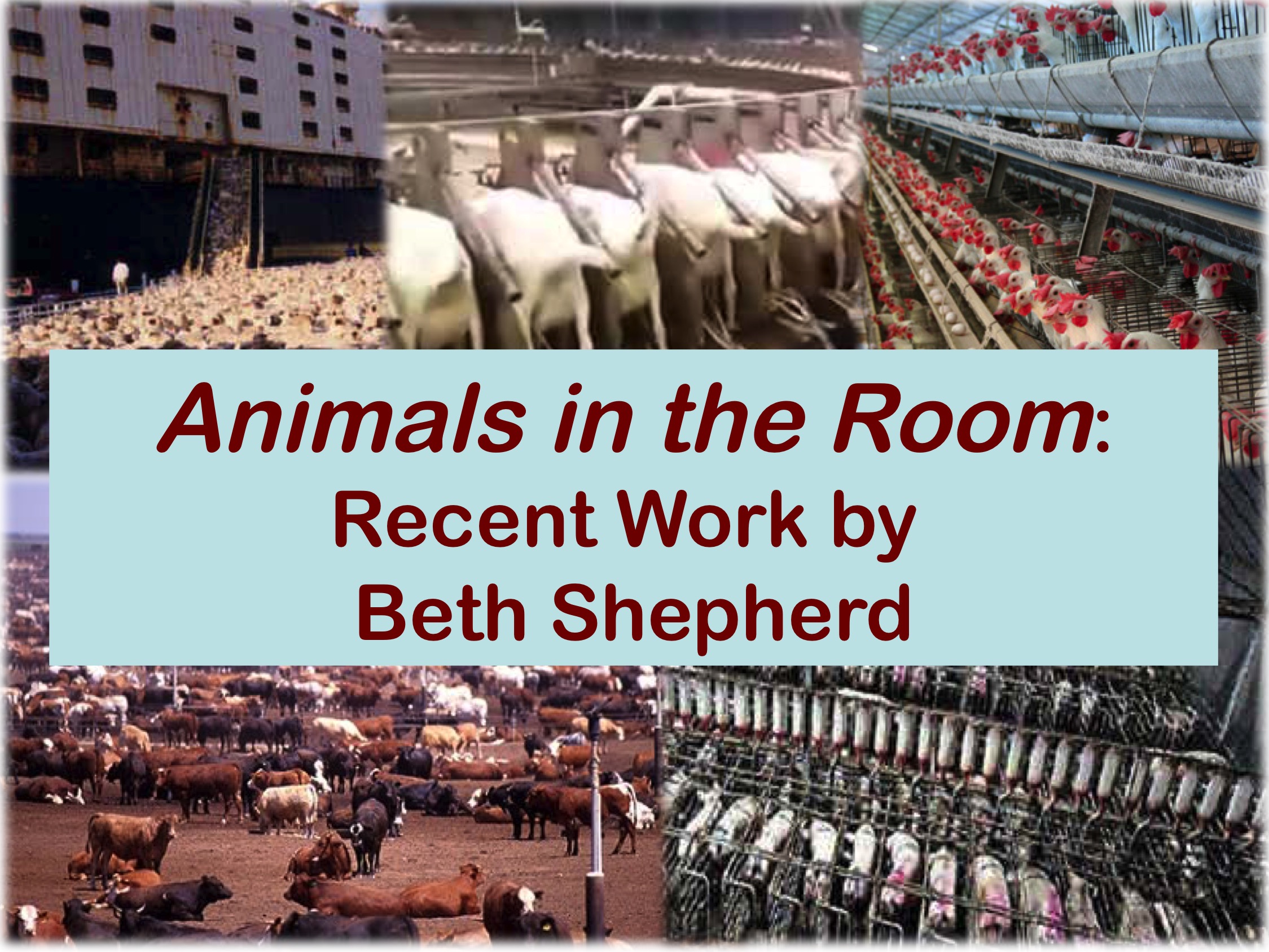 ANIMALS IN THE ROOM | Art That Makes a Difference