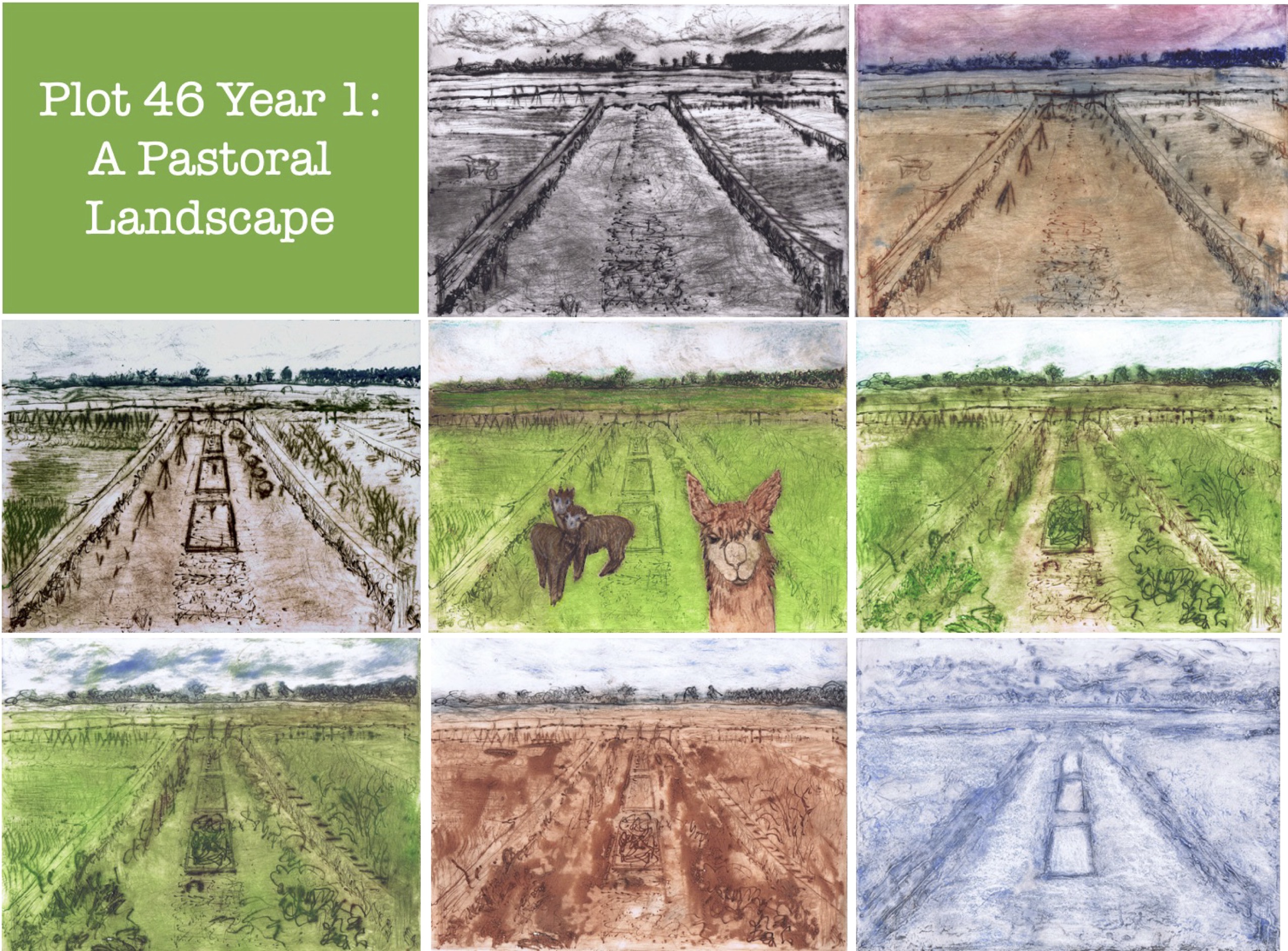 Plot 46 Year 1: A Year of Regenerative Gardening | Art That Makes a ...