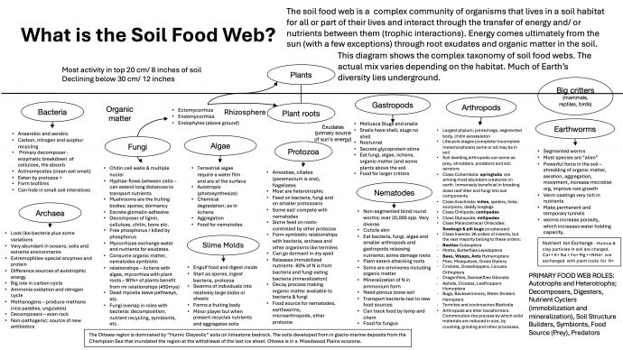 Sustainability and Umwelten of the Soil Food Web | Art That Makes a ...